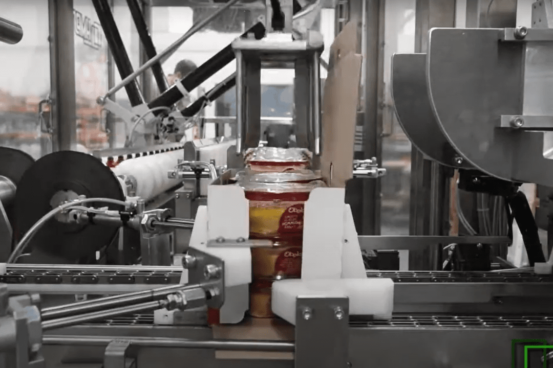 Wraparound Casepacker Packing Tubs of Dip - Propac